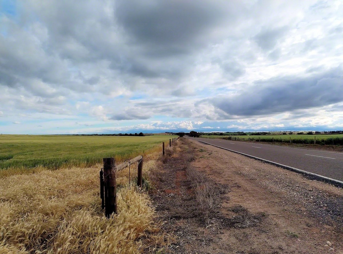 Publishing Pointers–The Third Road to Publication | Indie Scriptorium — Self Publishing ...