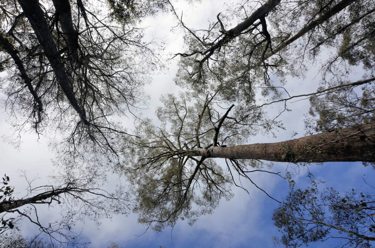 Writing Inspiration–A Poem to Get You Writing | Indie Scriptorium ...