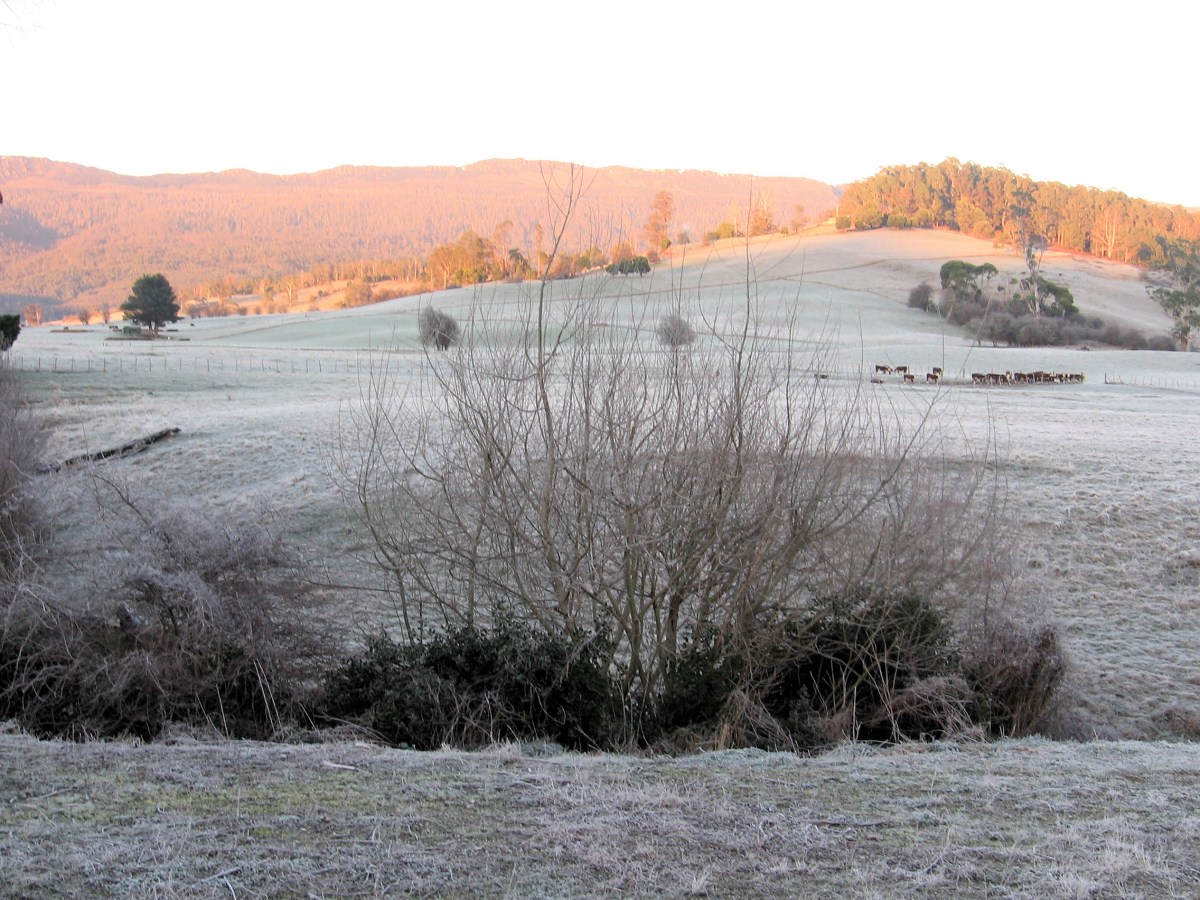 A Poem by Elsie King–First Thing in the Morning | Indie Scriptorium — Self Publishing Collective ...